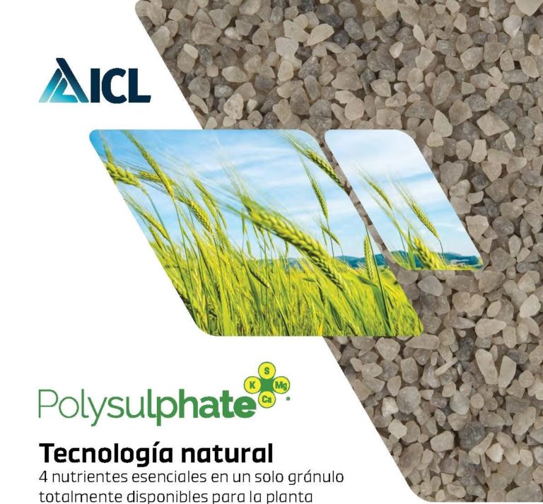Fertilizante Polysulphate, un producto natural de ICL