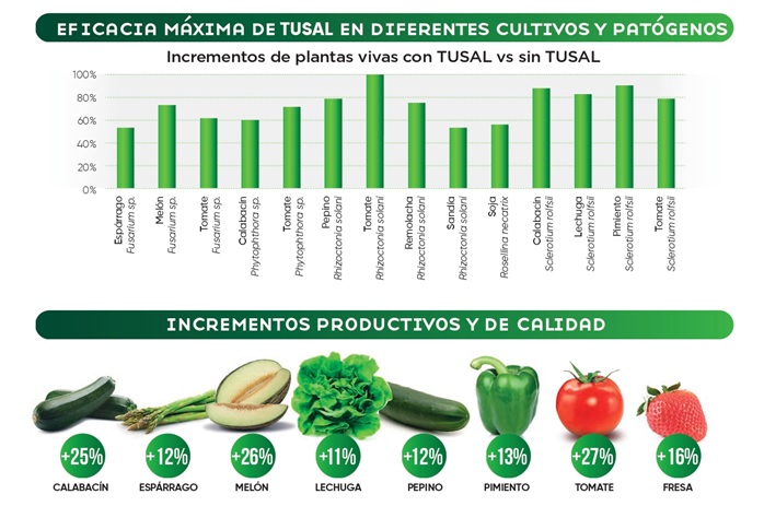 BIOFUNGICIDA TUSAL PARA EL CONTROL DE ENFERMEDADES DE SUELO